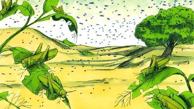 Exodus 10 – The Eighth Plague: Locusts – Ten plagues of Egypt
